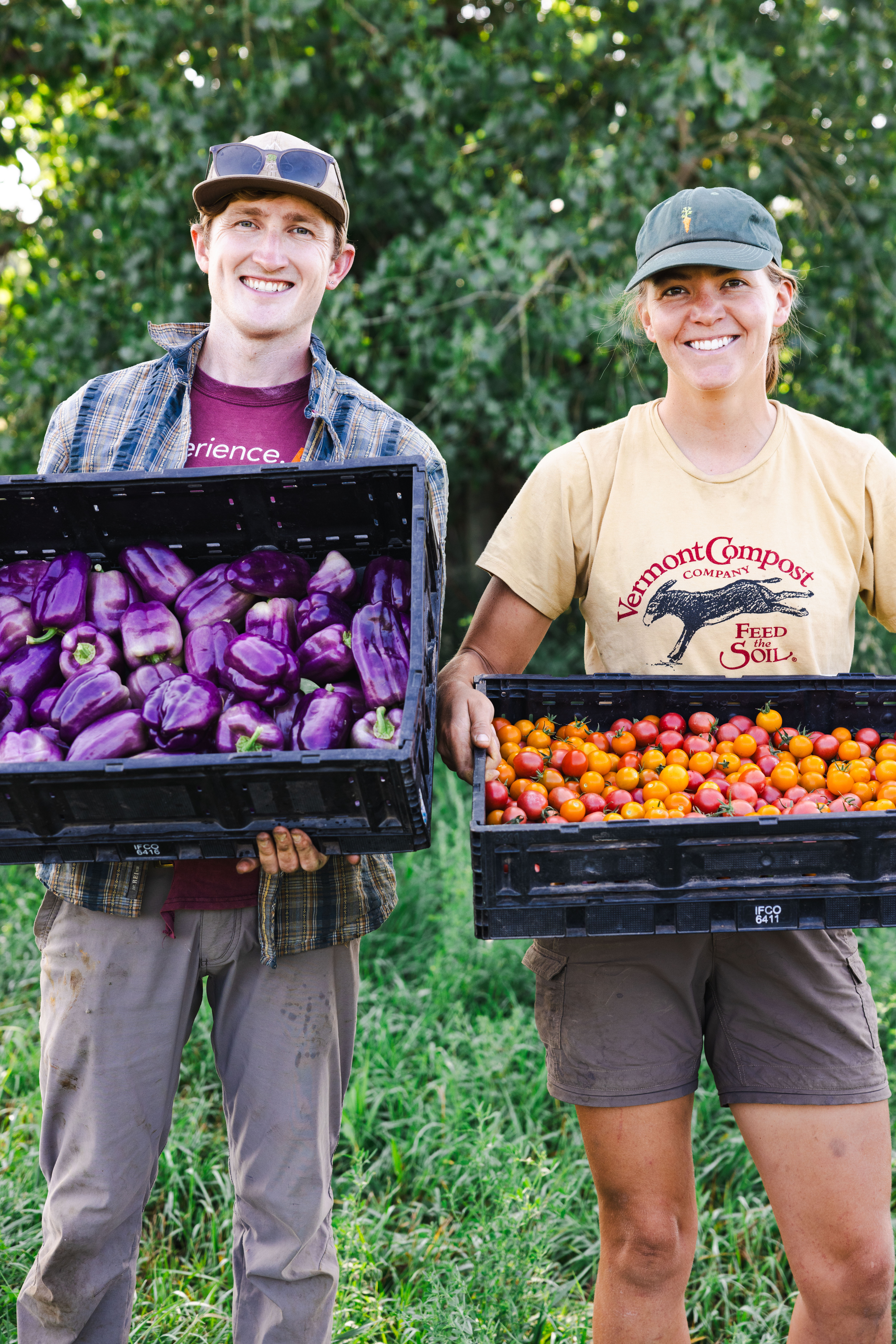 Off Beet Farm